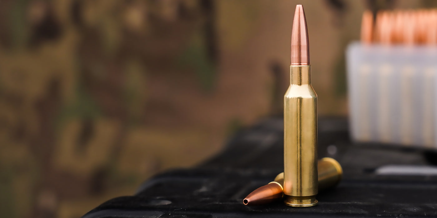 Cutting Edge Bullets