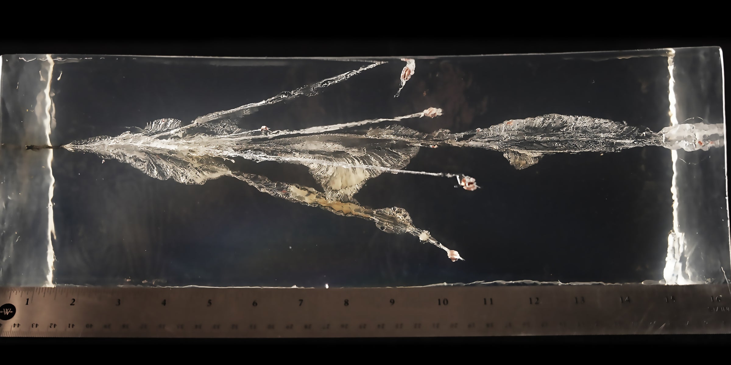 Cutting Edge Bullets