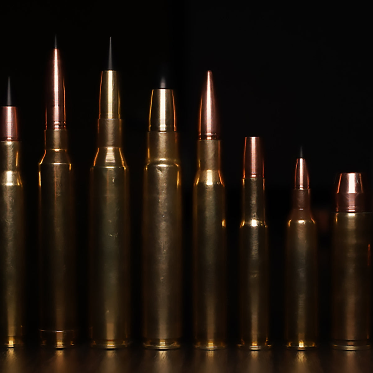 Cutting Edge Bullets